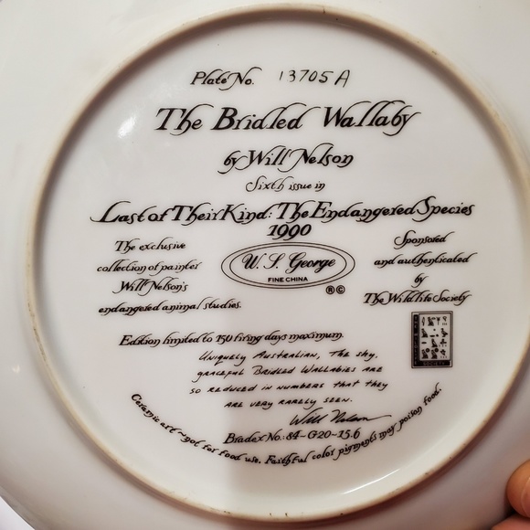 Accents | Endangered Species Kangaroo Wallaby Plate | Poshmark